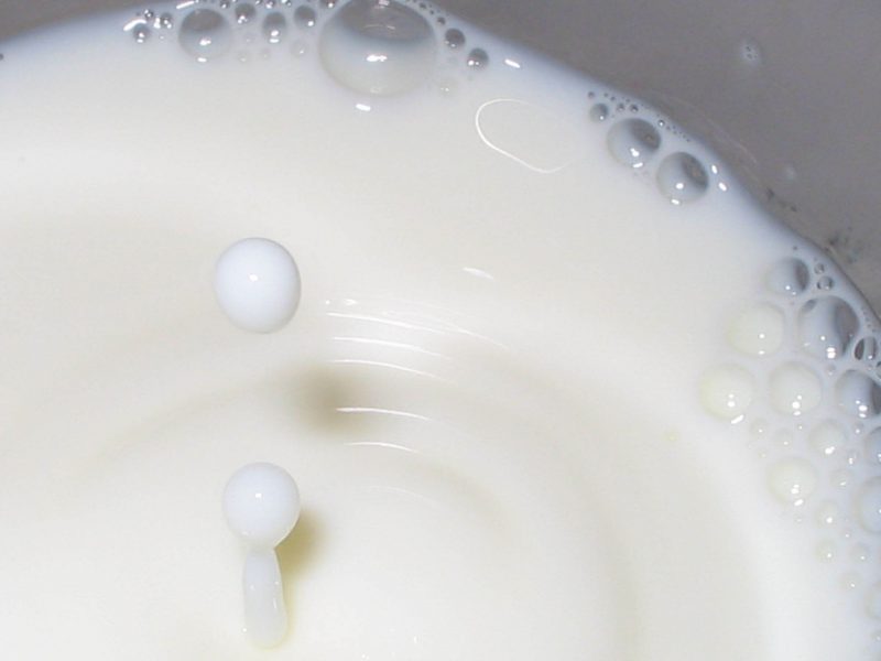 Raw Milk Substitute for Cultured Dairy Products - Keeper of the Home