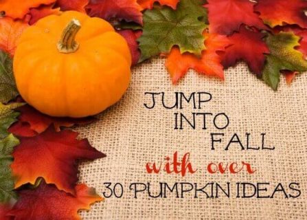Jump into Fall with over 30 Pumpkin Ideas - Keeper of the Home