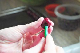 How to Pit and Freeze Sweet Cherries & 18 Unique Cherry Recipes ...