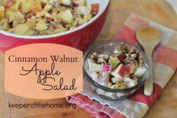 Cinnamon Apple Salad Recipe: A Perfect Holiday Side Dish - Keeper of ...