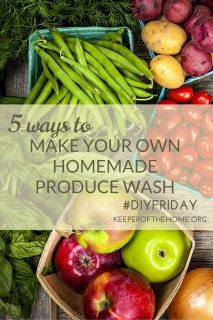 How to Make Your Own Homemade Produce Wash - Keeper of the Home