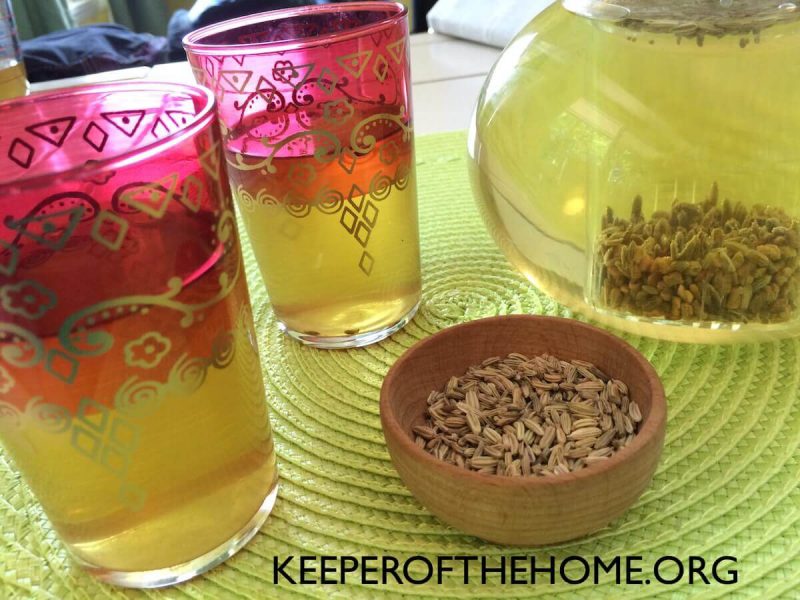 Well Belly Fennel Seed Tea Recipe - Keeper of the Home